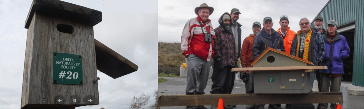 Nest Boxes – Delta Naturalists Society