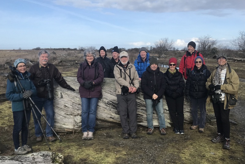 Delta Naturalists Outing to Brunswick Point, March 13, 2024: Snow Geese ...