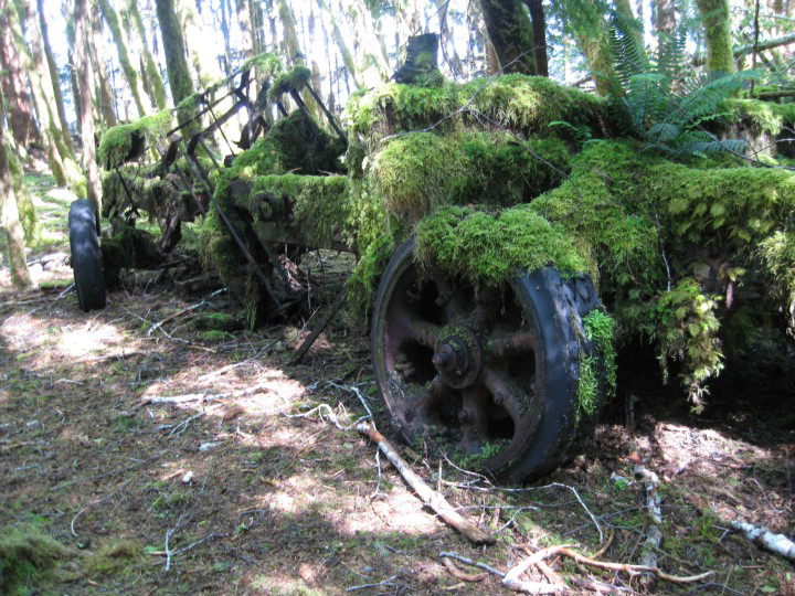 DNS Meetings 2024 – Page 5 – Delta Naturalists Society